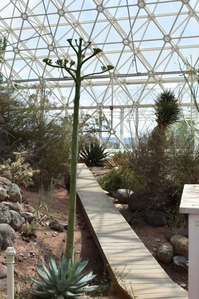 Biosphere 2 is America’s most ambitious and dramatically disastrous ...