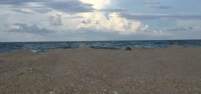 A perfect beach-hopping cruise along the A1A - Roadtrippers