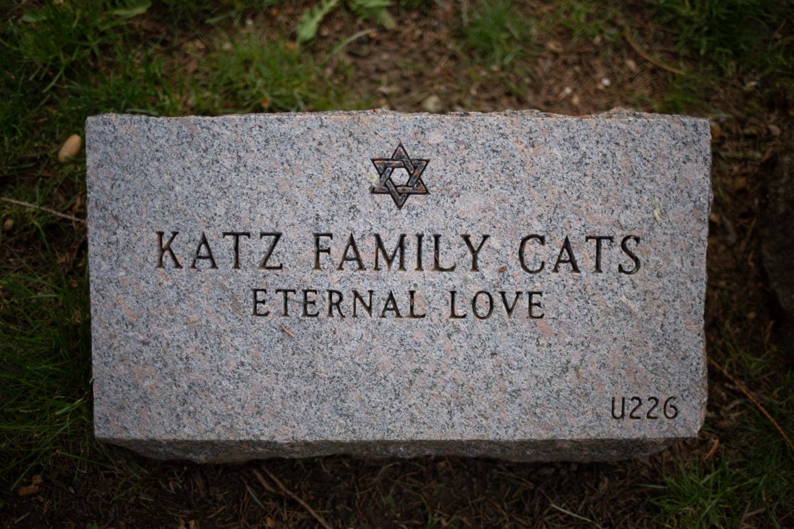 At America’s first pet cemetery, beloved animals—from lizards to lions ...