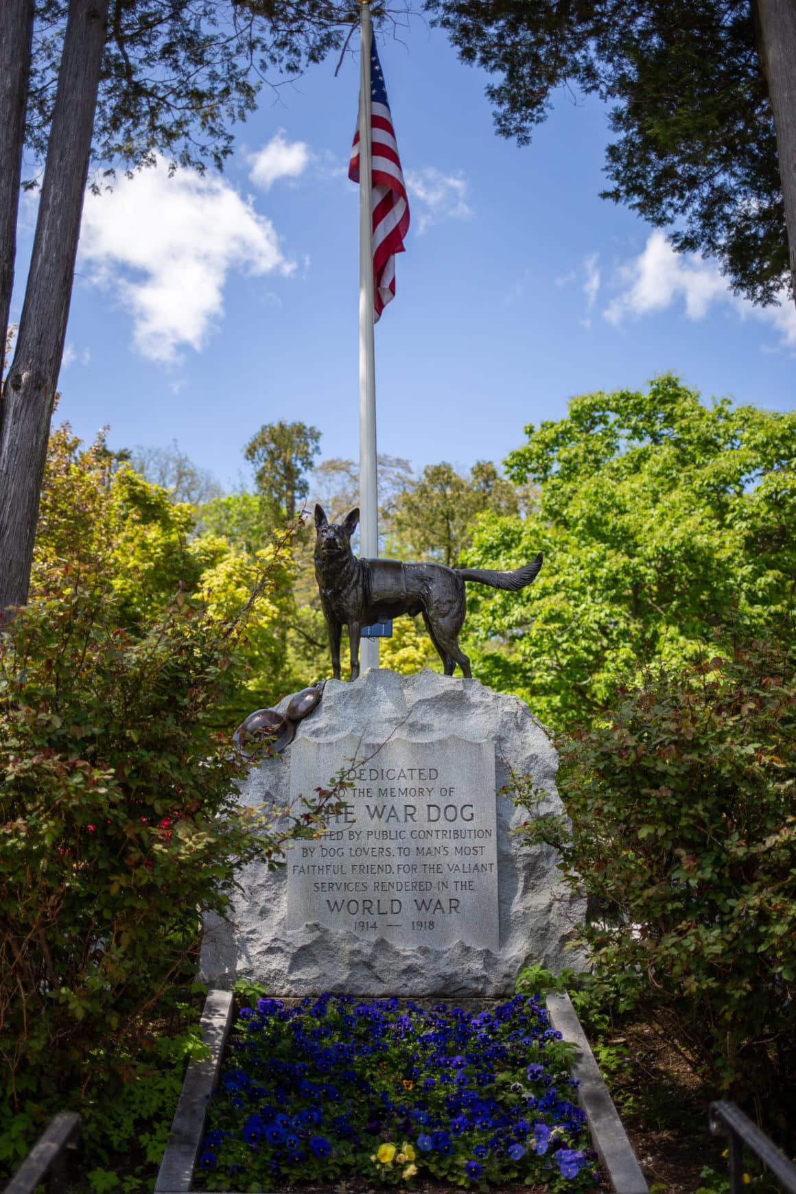At America’s first pet cemetery, beloved animals—from lizards to lions ...