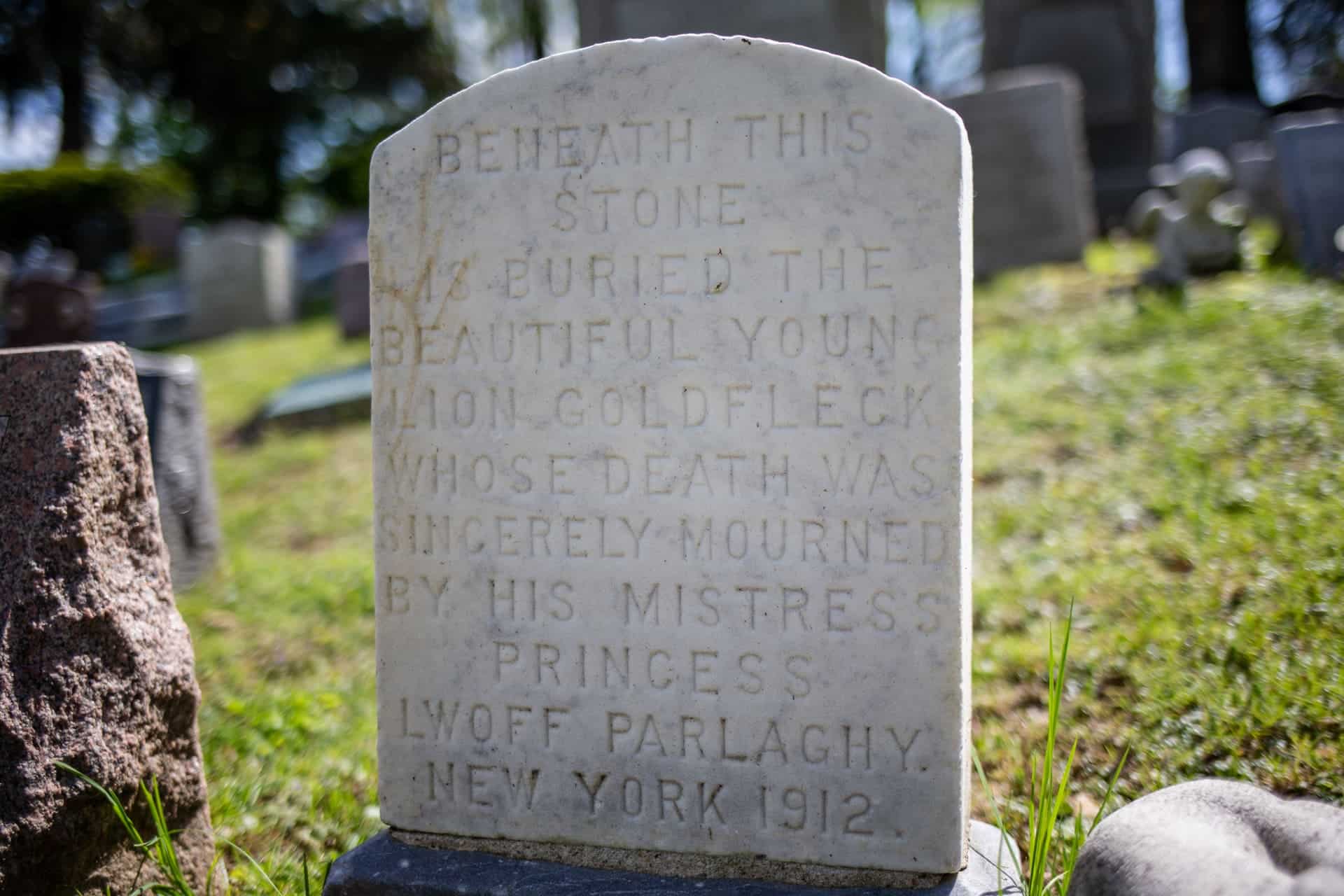 At America’s first pet cemetery, beloved animals—from lizards to lions ...