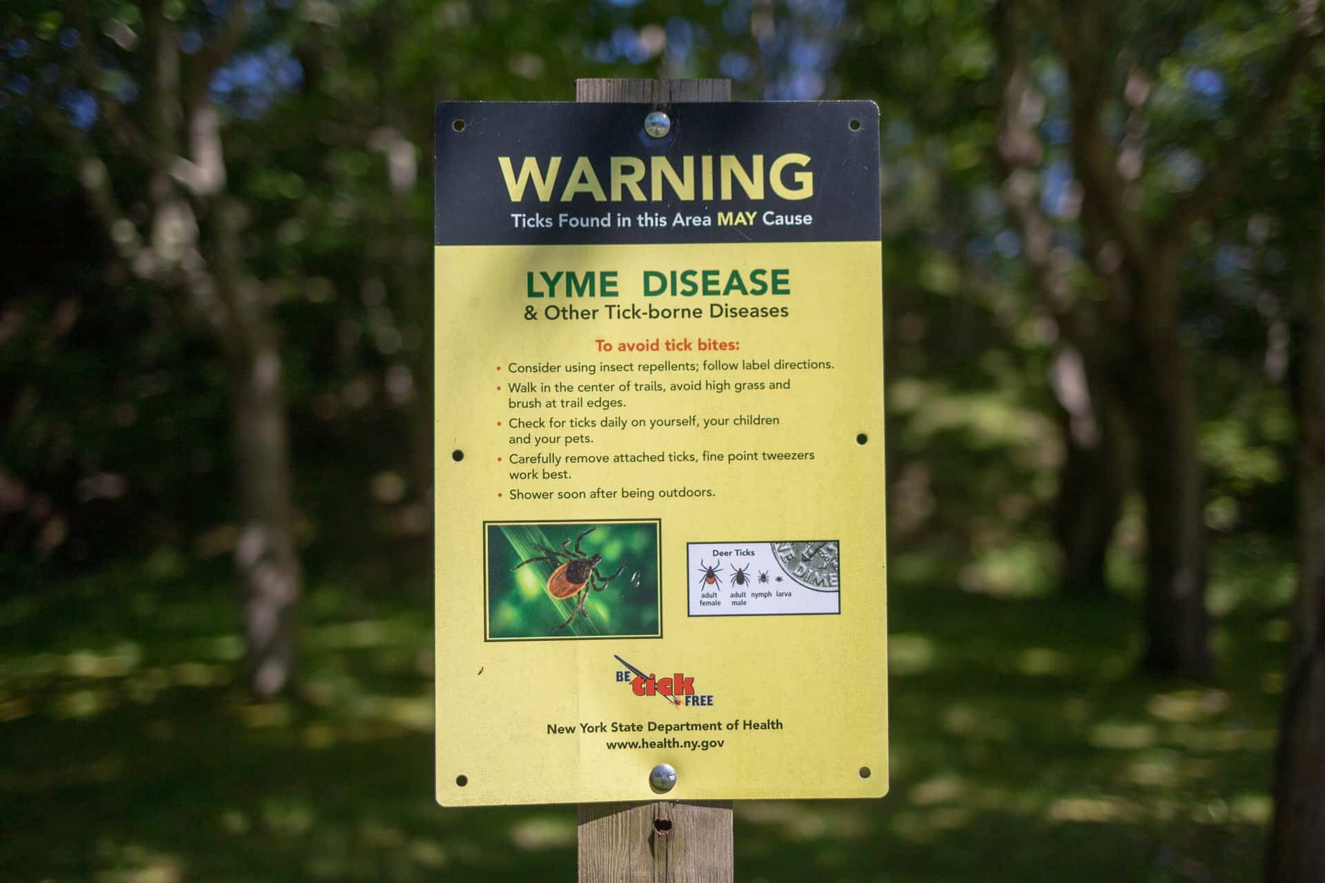 Camp Hero and the Montauk Project: Conspiracy Theories, Mind Control ...