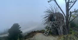 Perched high above the Pacific Ocean, the Human Nest offers visitors ...