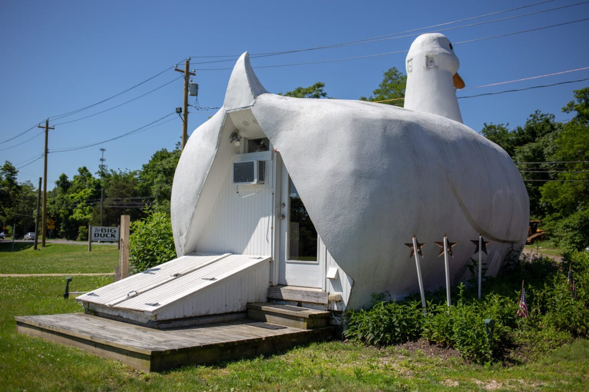 Big Duck Energy: Discovering dinosaur eggs, satanic panic, and fowl ...