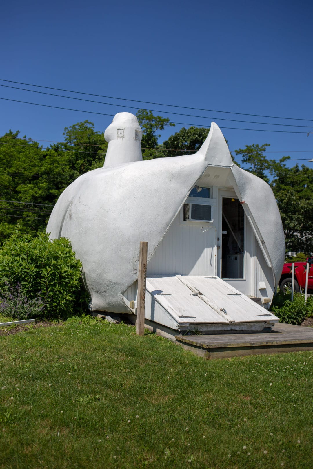 Big Duck Energy: Discovering dinosaur eggs, satanic panic, and fowl ...