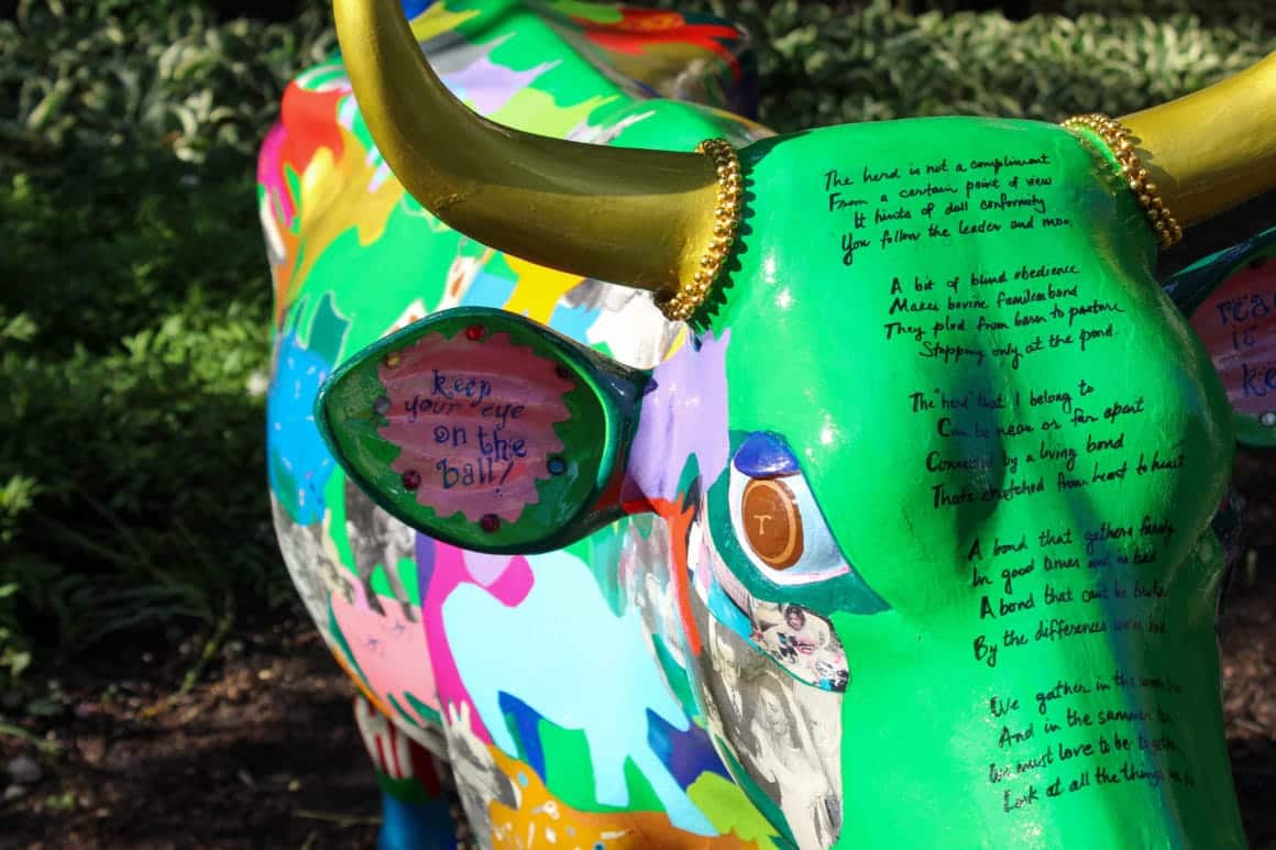 Holy cow: After 20 years on parade, Chicago's cows are finally coming ...