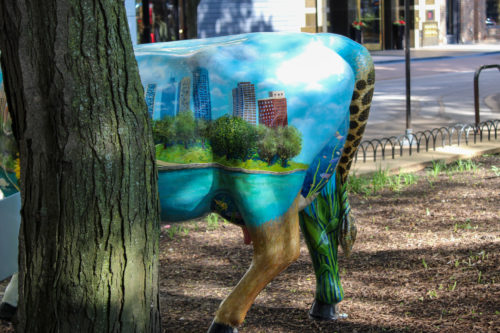 Holy cow: After 20 years on parade, Chicago's cows are finally coming ...