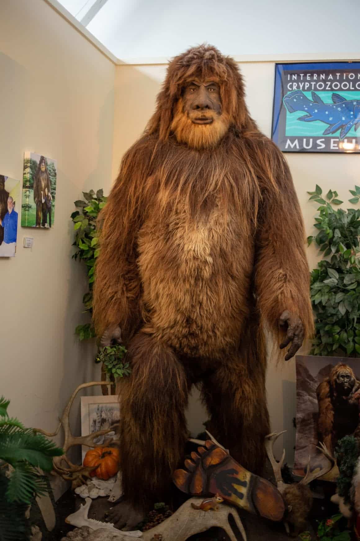 Crazy for cryptids: The International Cryptozoology Museum blurs the ...