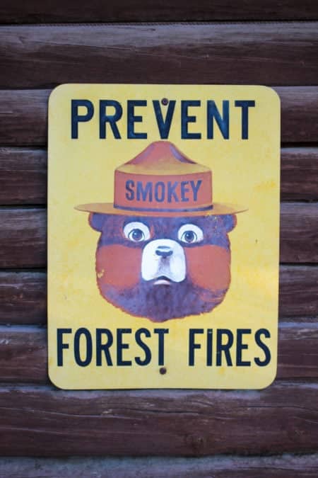Only you can prevent wildfires—but after 75 years, Smokey Bear still ...