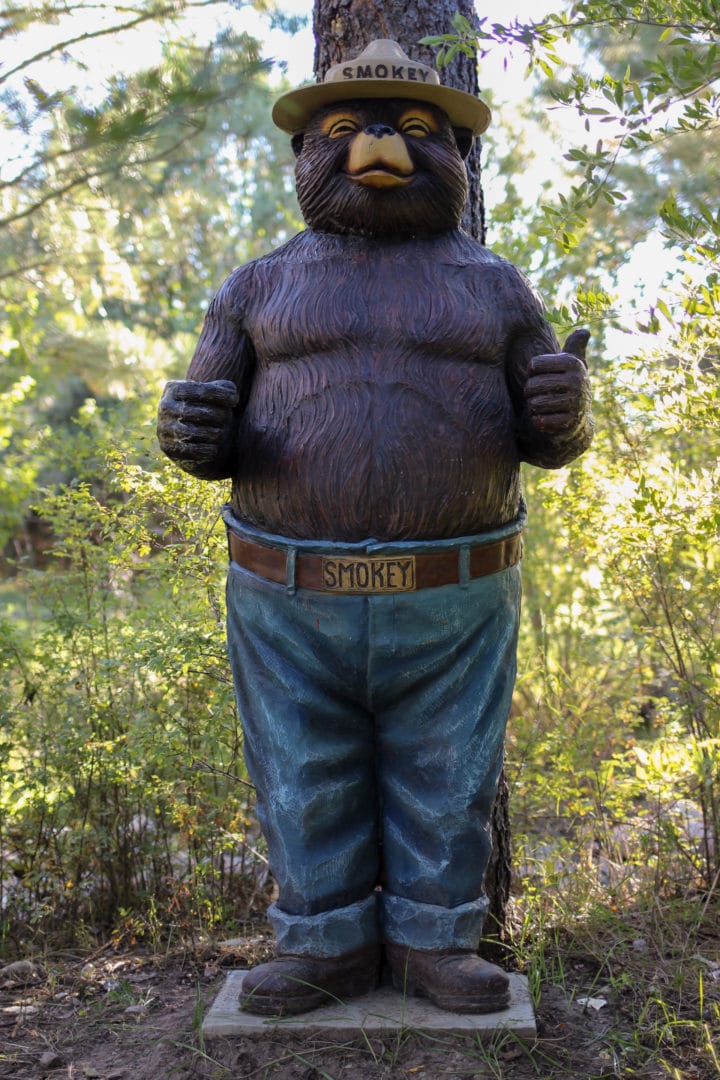 Only you can prevent wildfires—but after 75 years, Smokey Bear still ...