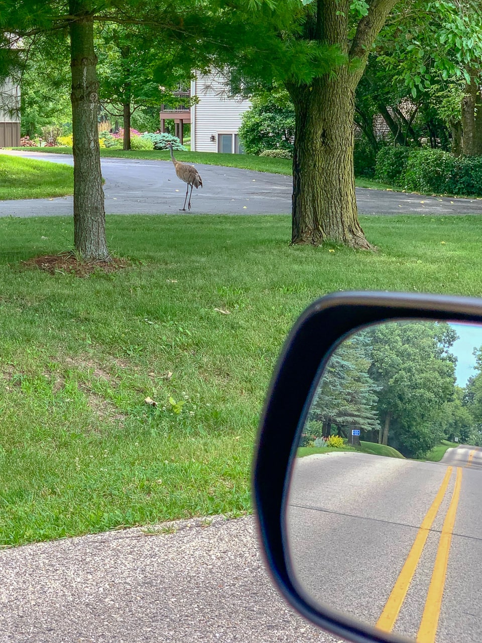 With its Rustic Roads program, Wisconsin wants you to slow down and ...