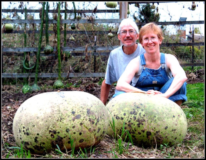 Ithaca is ‘gourd-geous': Welcome to Gourdlandia, where the world’s most ...