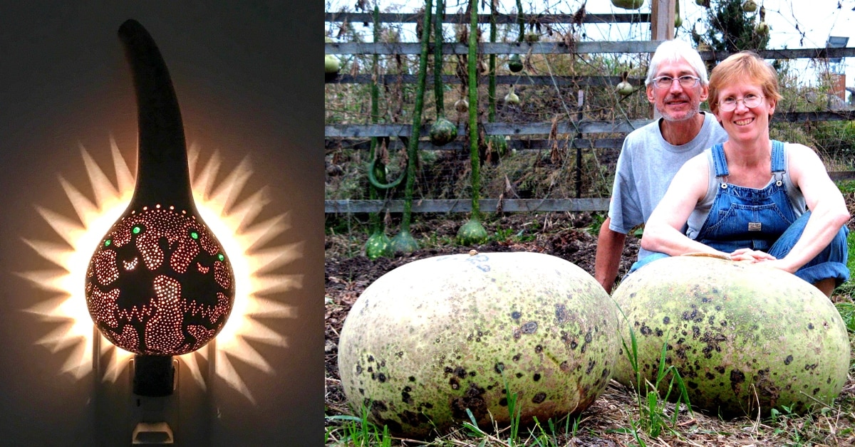 Ithaca is ‘gourd-geous': Welcome to Gourdlandia, where the world’s most ...