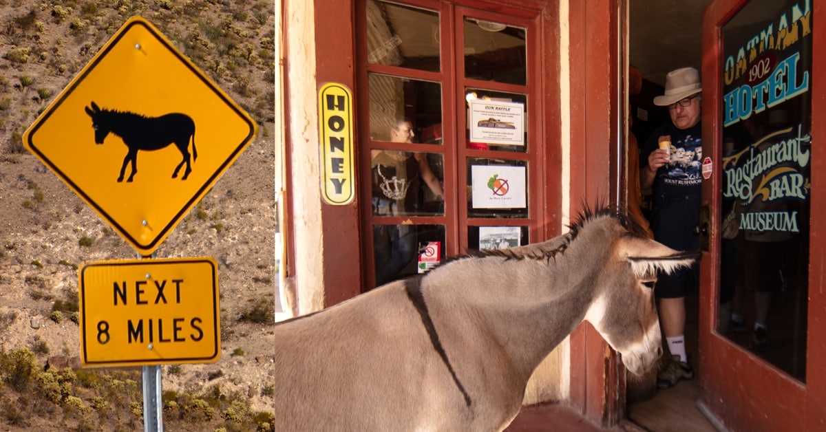 Oatman, AZ: Gold Rush History & Ghostly Encounters - Roadtrippers