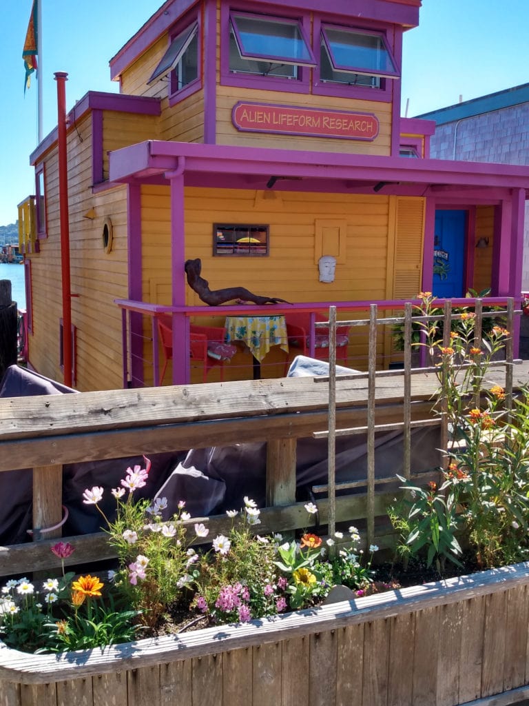 Sausalito Floating Homes: The Colorful History of a Houseboat Community