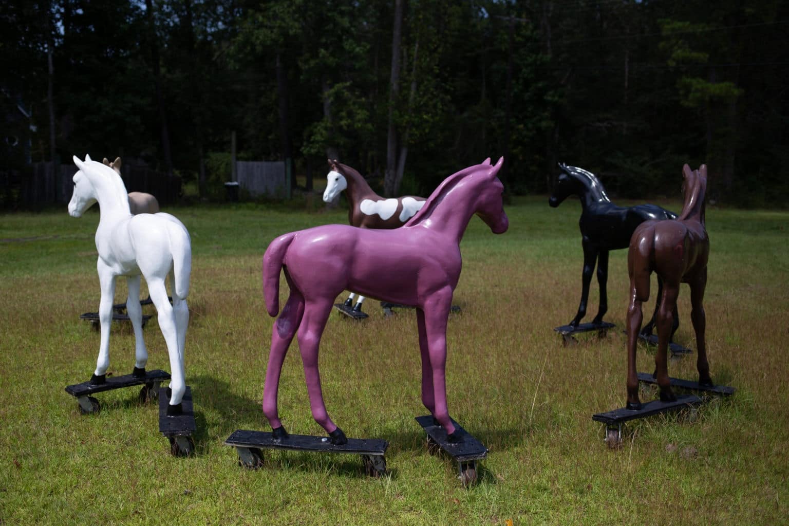 Grahamland: A Dream Amusement Park in North Carolina - Roadtrippers