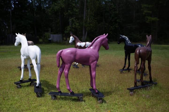 Grahamland: A Dream Amusement Park in North Carolina - Roadtrippers