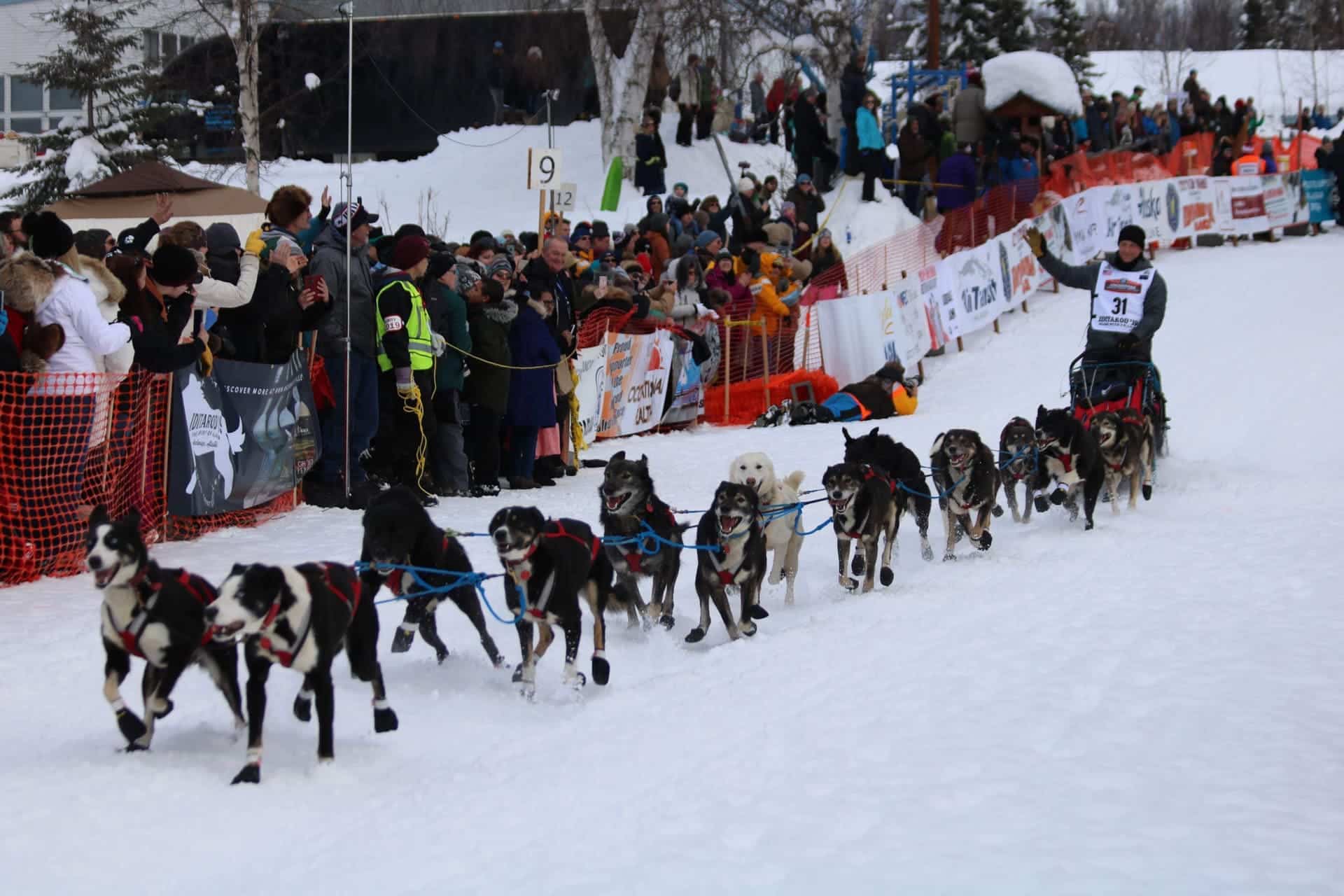 Despite unique challenges, one 7-time Iditarod participant can't seem ...