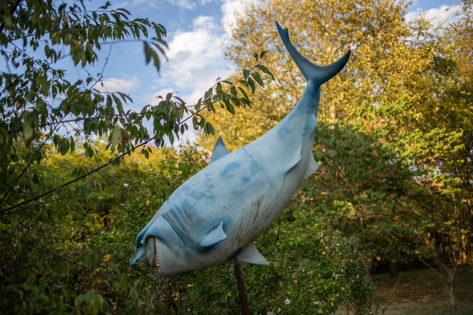 Farnham’s Fantasy Farm: West Virginia’s Quirky Roadside Attraction