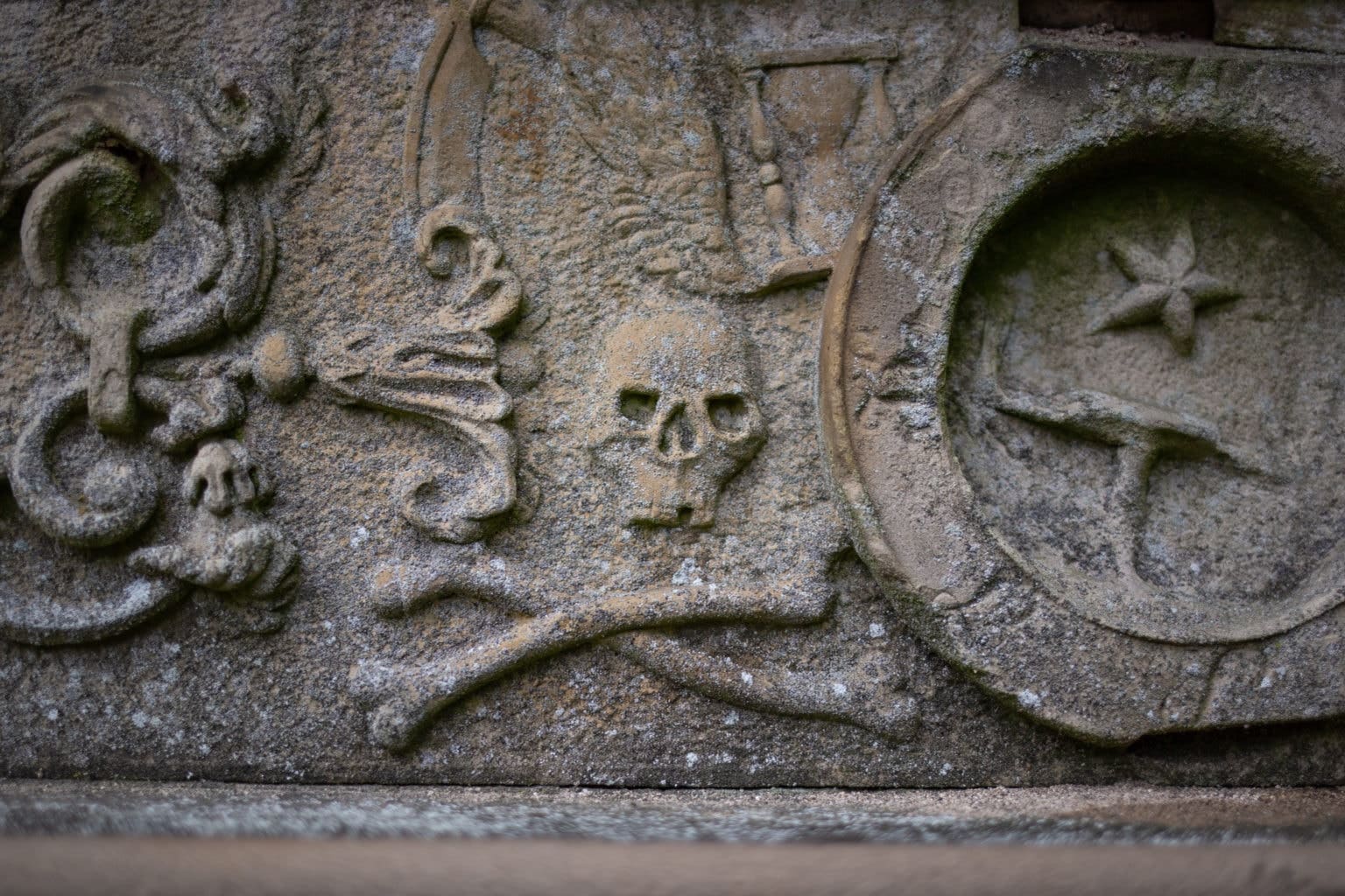Death may be the main event, but signs of life abound at Spring Grove ...