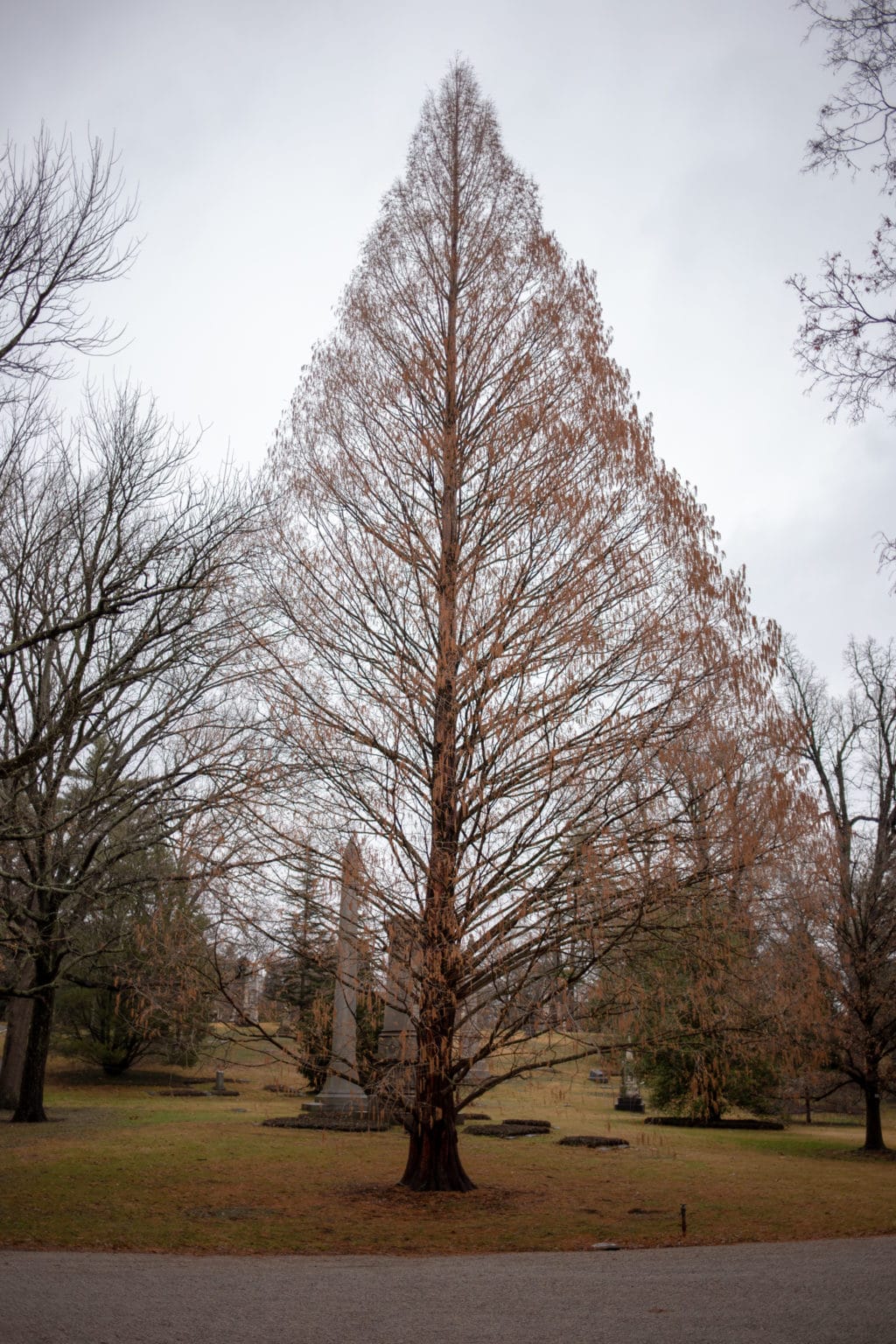 Death may be the main event, but signs of life abound at Spring Grove ...