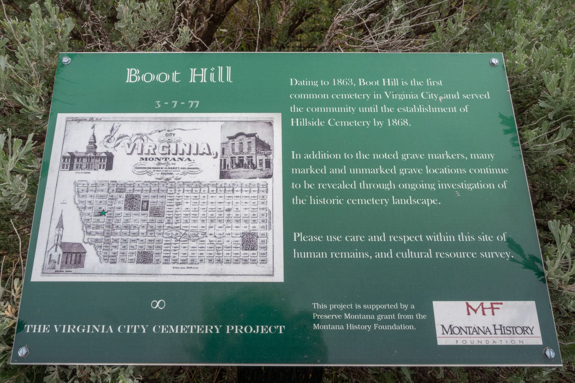 Vigilante justice: The story of three dead rodents and a ghost town ...