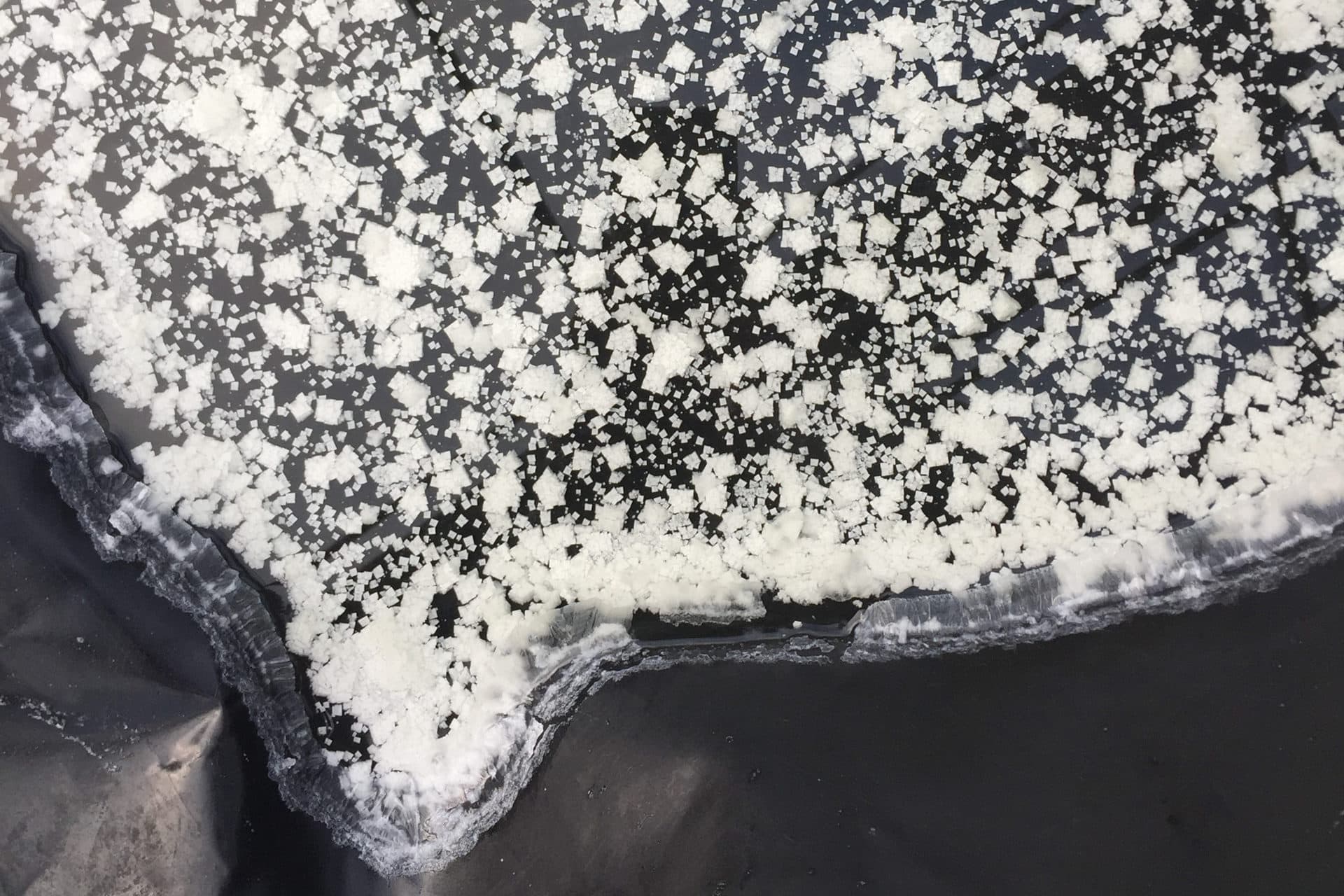 Above an ancient underground sea in West Virginia, a family reclaims ...