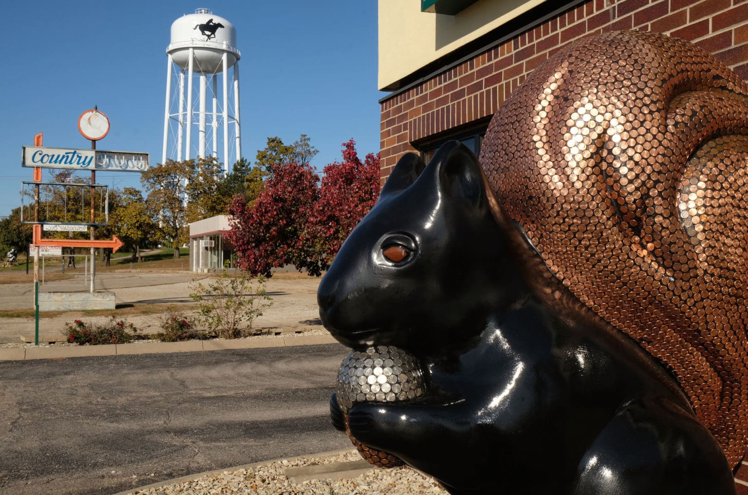 From circus attraction to protected mascot to art project: How black ...