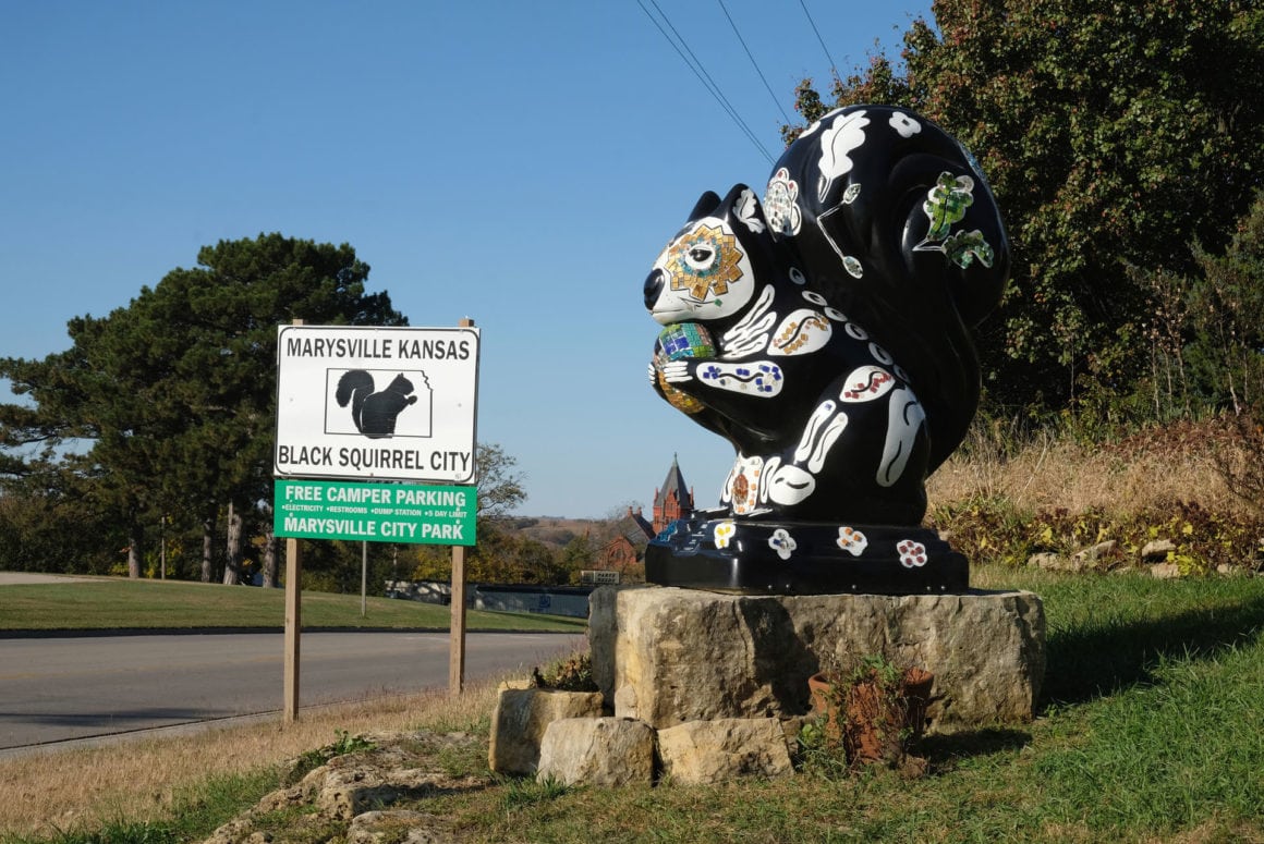 From circus attraction to protected mascot to art project: How black ...