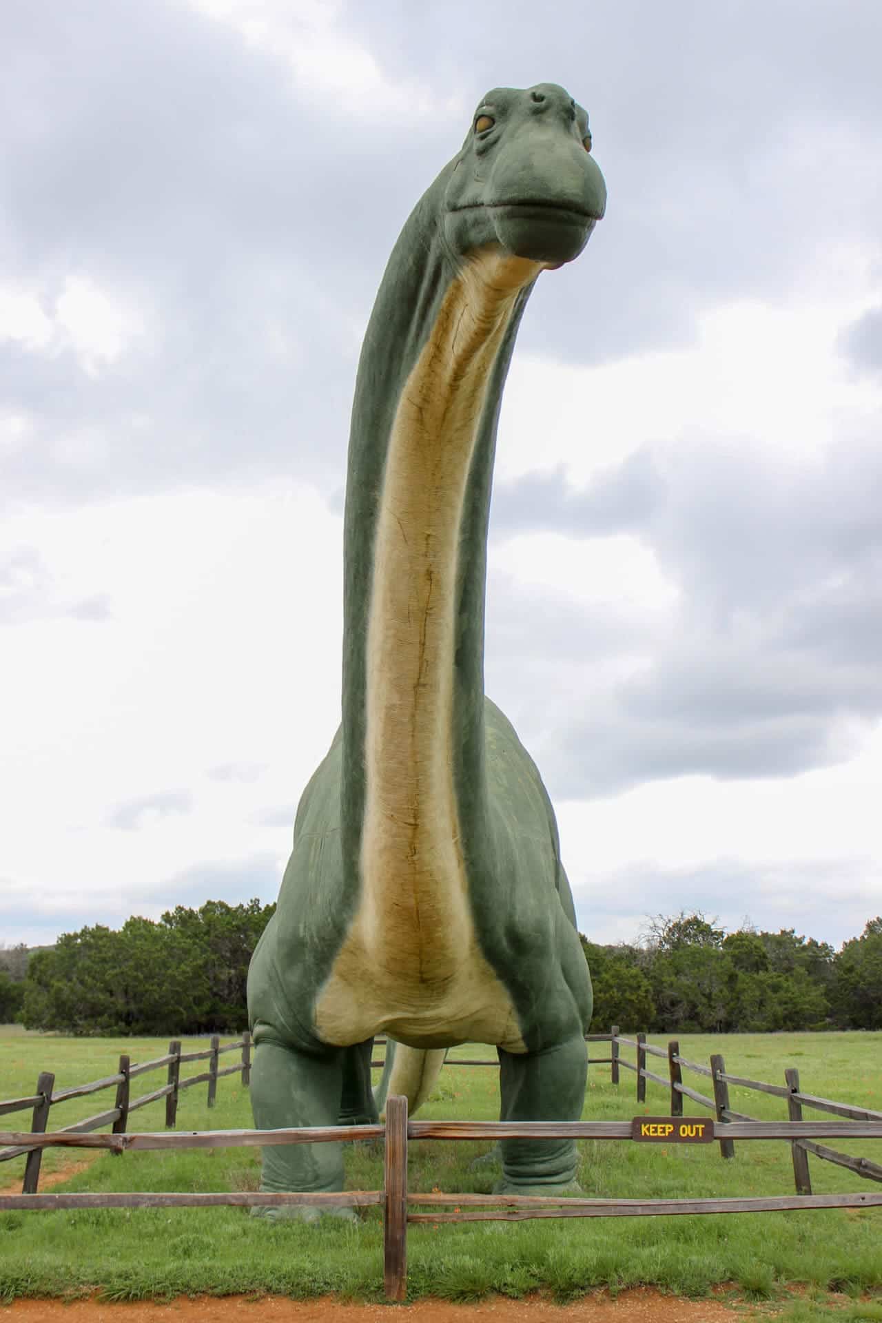Walking in real dinosaur footprints at Texas' Dinosaur Valley State ...