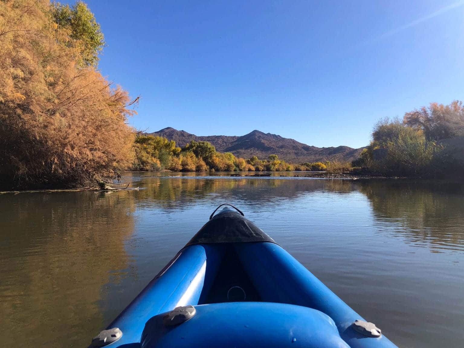 Horses, kayaks, and cacti on Phoenix’s Lower Salt River