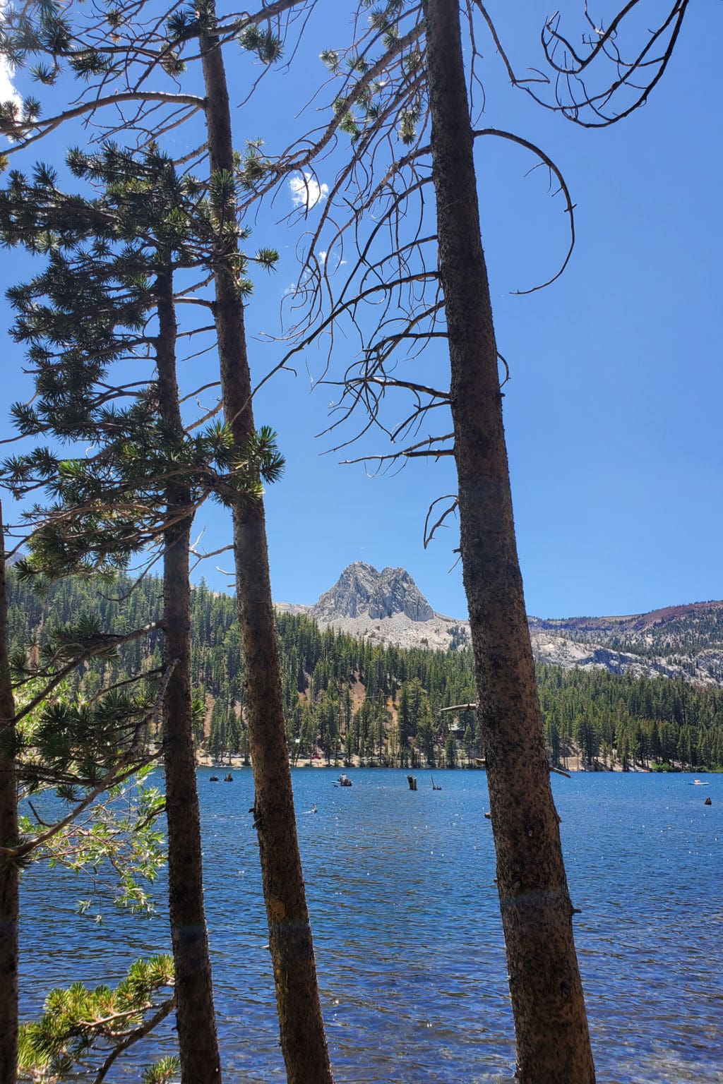 Now a skier's paradise, Mammoth Lakes was once the site of a booming ...