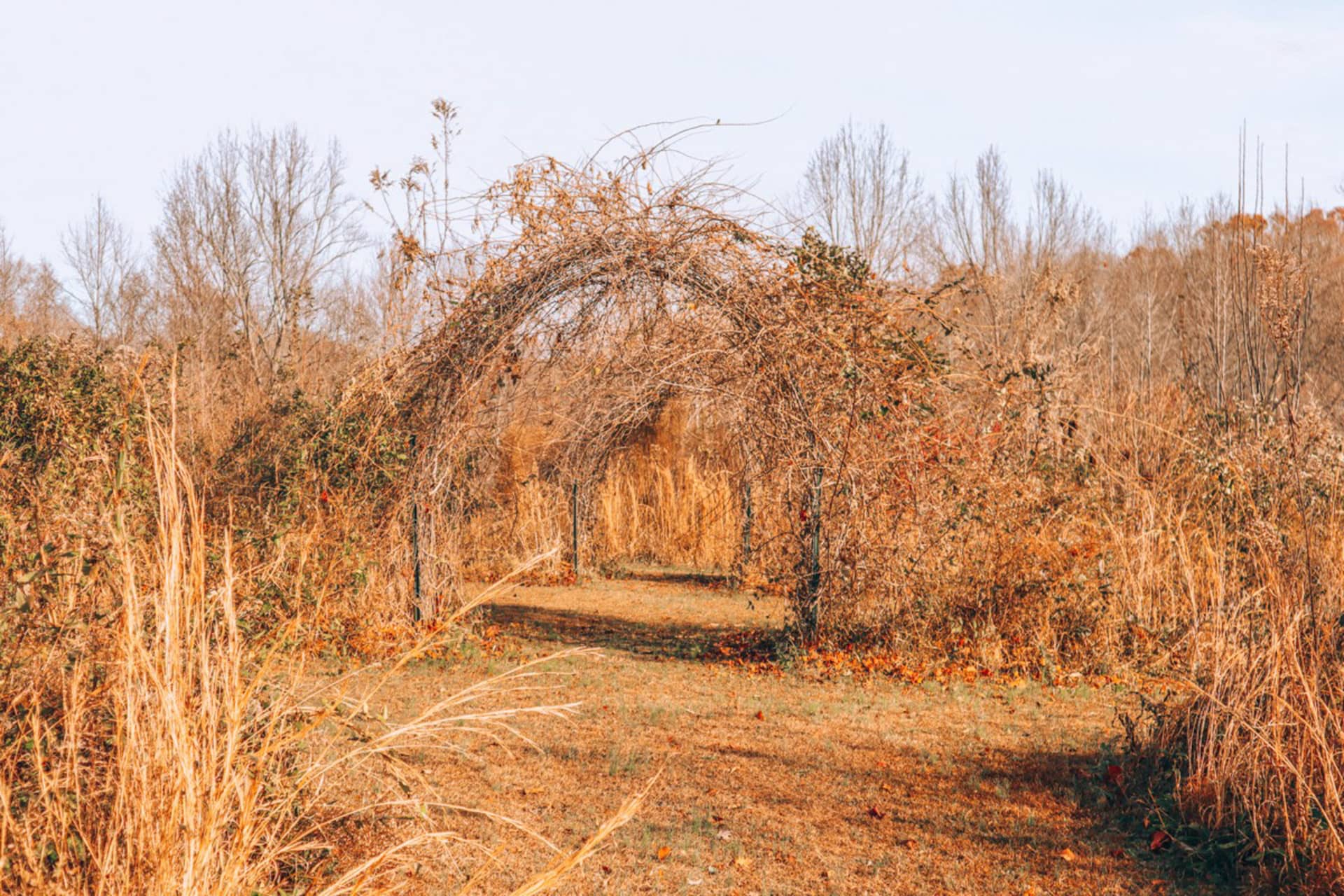 Middle Earth in rural Tennessee: Forest Gully Farms offers visitors the ...