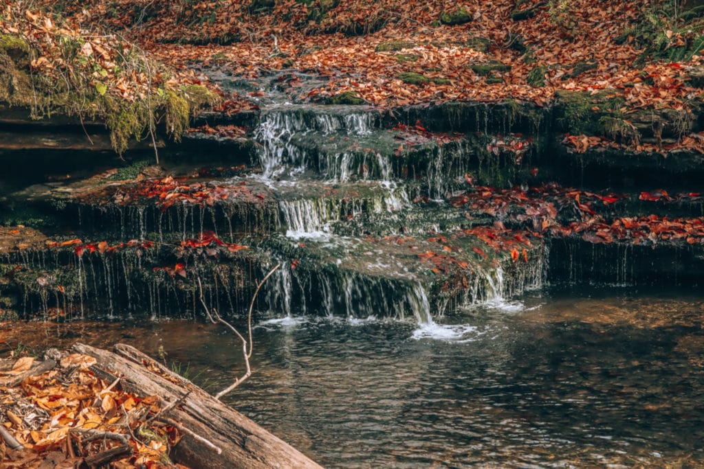 Middle Earth in rural Tennessee: Forest Gully Farms offers visitors the ...