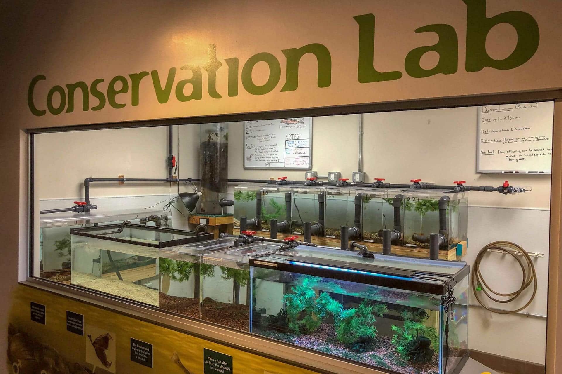 Come for the alligators and stay for the history at Iowa’s National ...