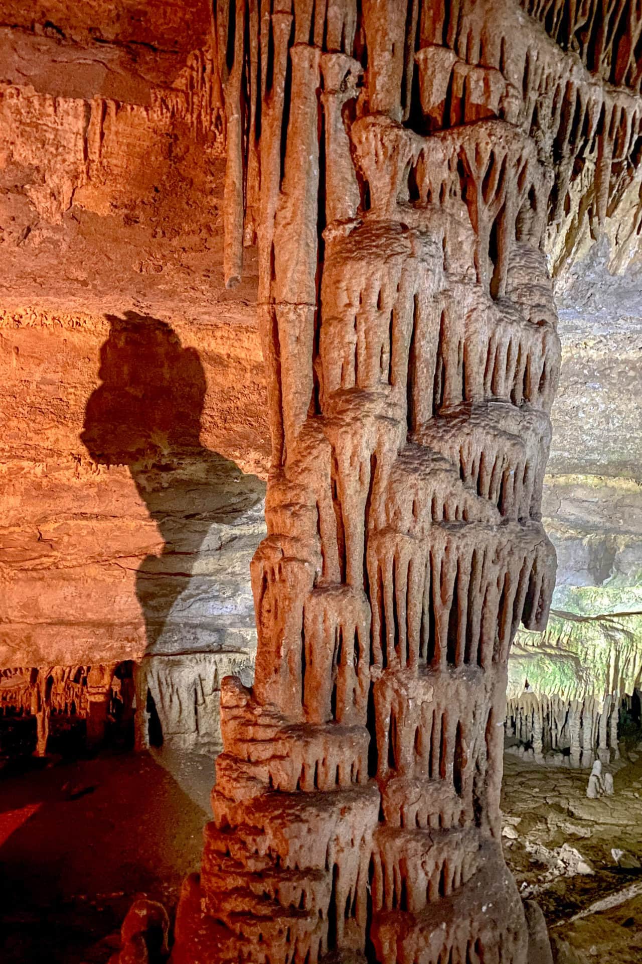 Living stars and lost luggage: Exploring the overlooked beauty of ...