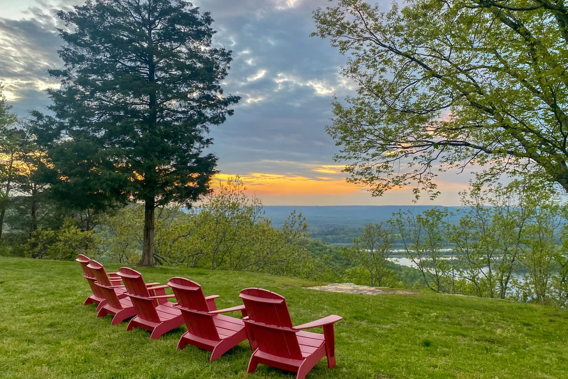 Living stars and lost luggage: Exploring the overlooked beauty of ...