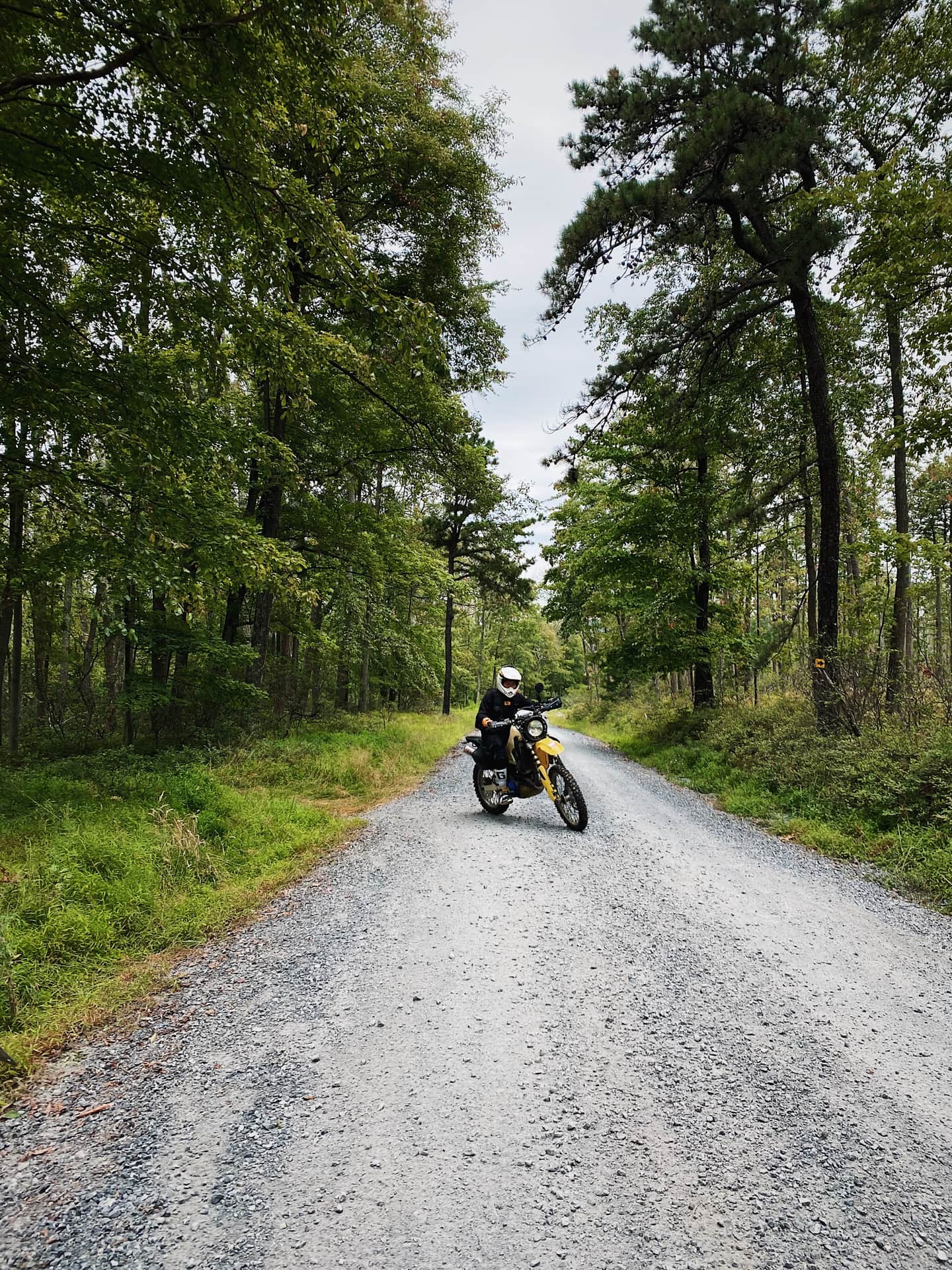 A magical dual-sport adventure through the wooded terrain of ...
