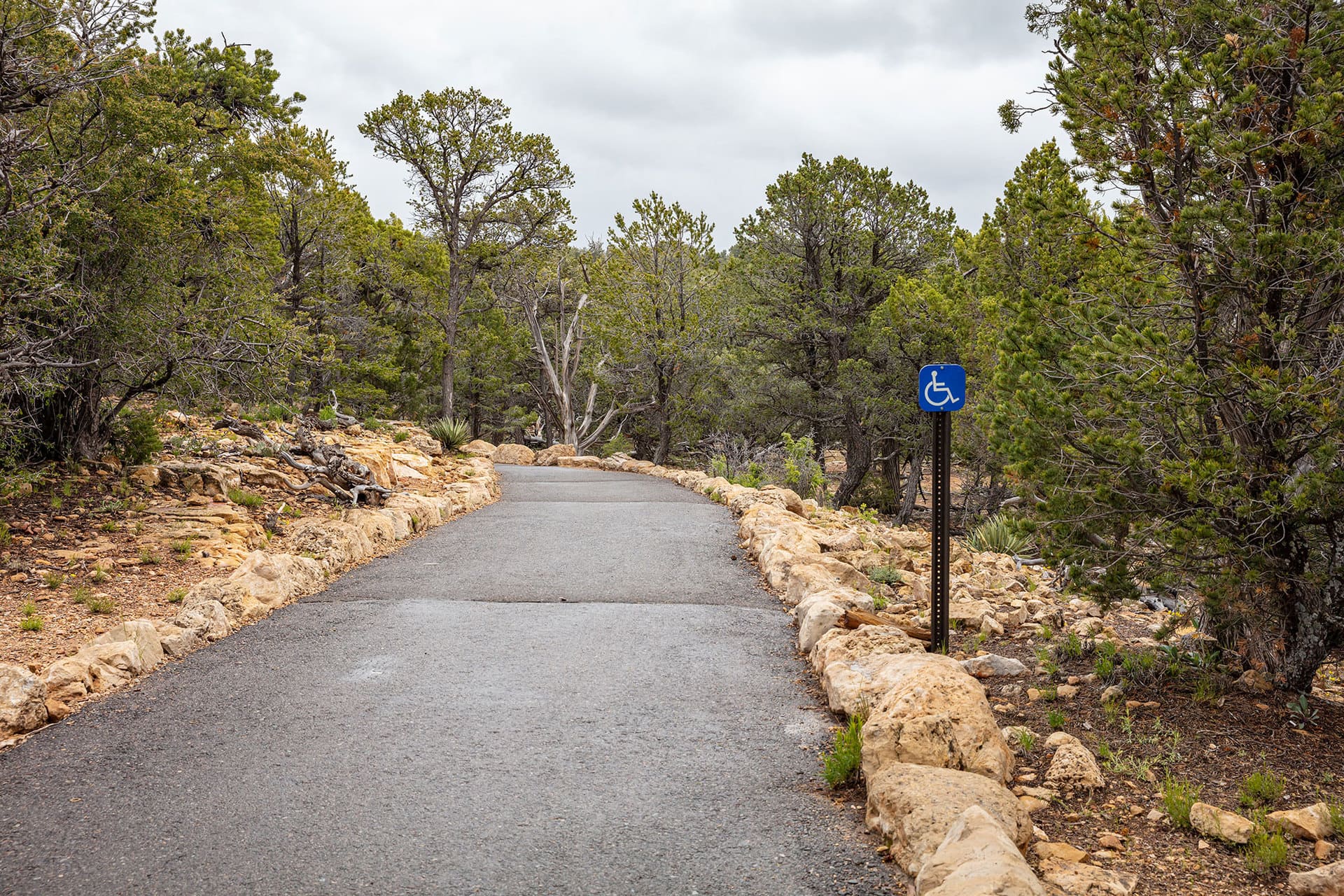 How to plan an accessible family road trip - Roadtrippers