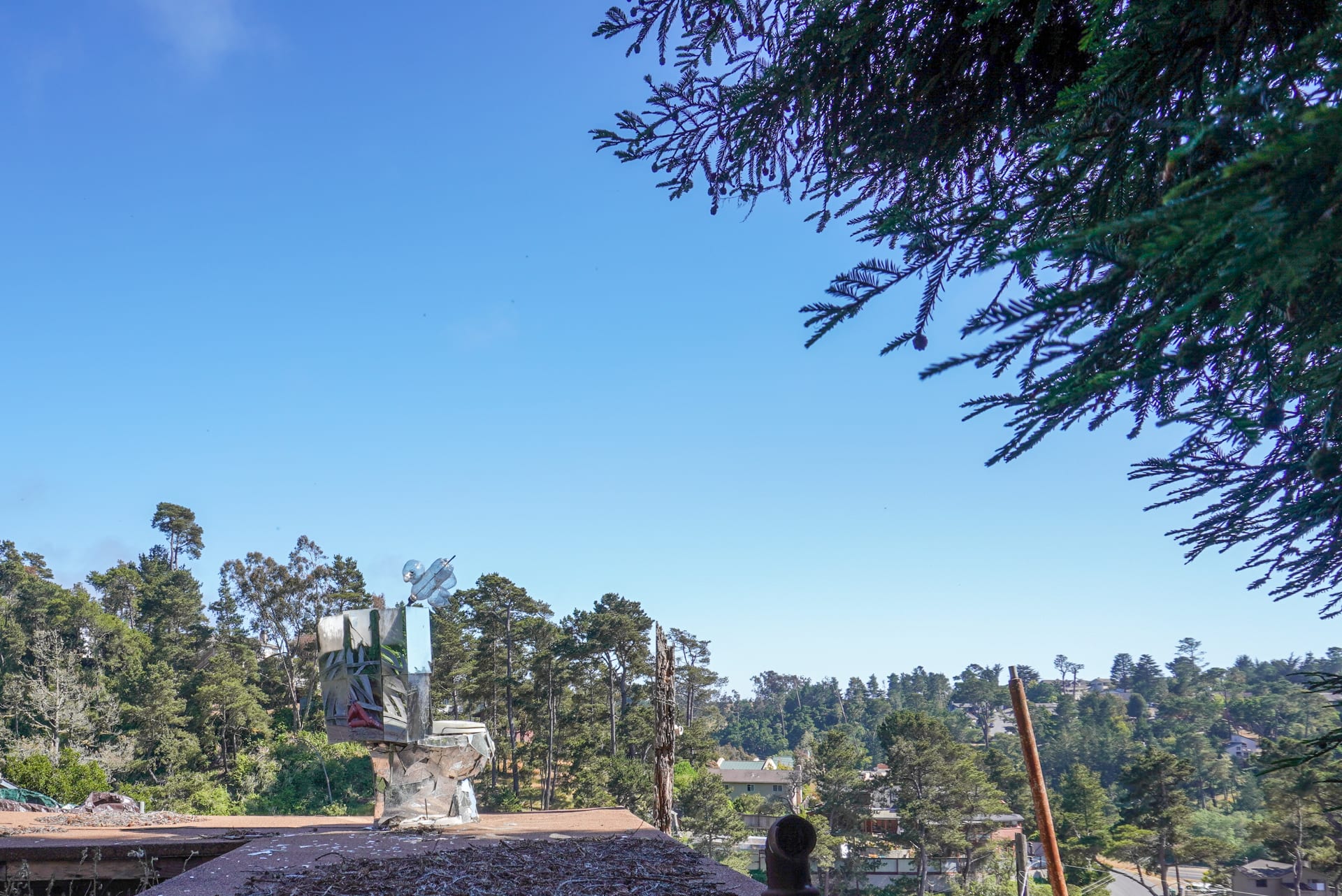 Known as the 'anti-Hearst Castle,' Nitt Witt Ridge was built with love ...