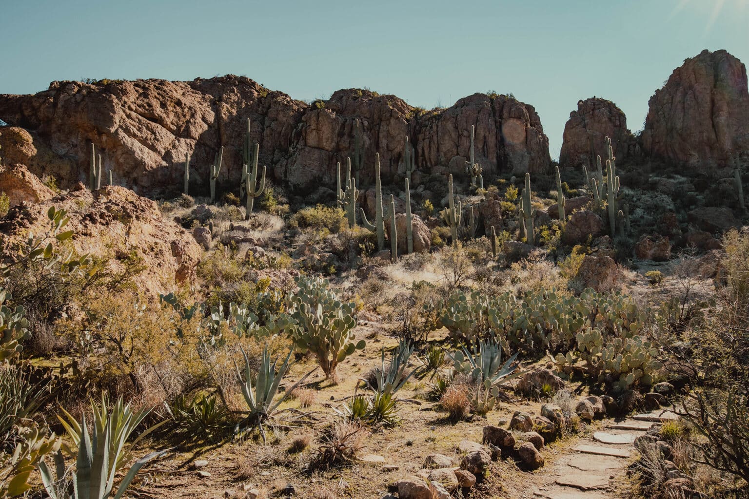 The best outdoor museums and gardens in Greater Phoenix - Roadtrippers