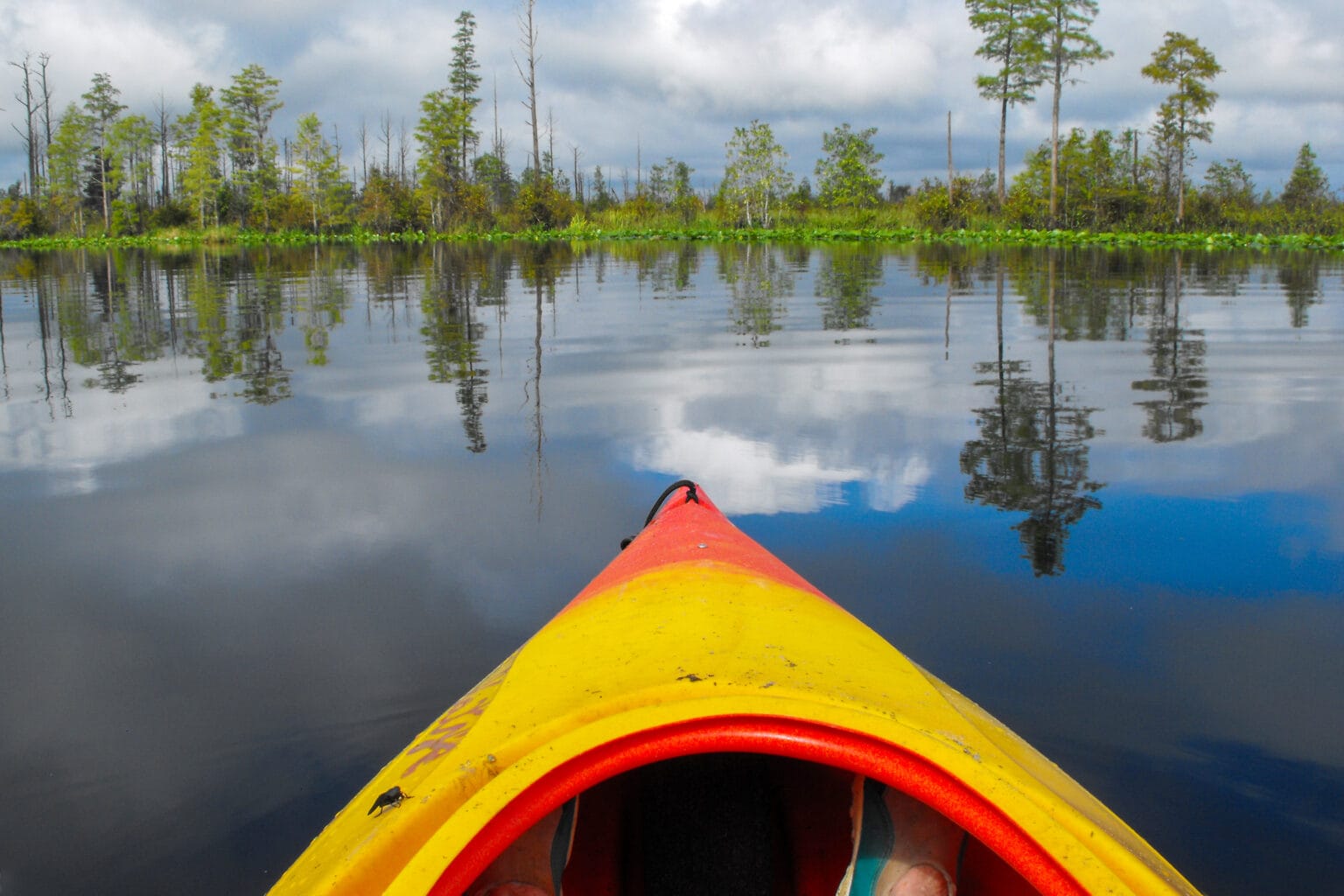 Bears, Bigfoot, and blackberries: Georgia’s Okefenokee Swamp is like ...
