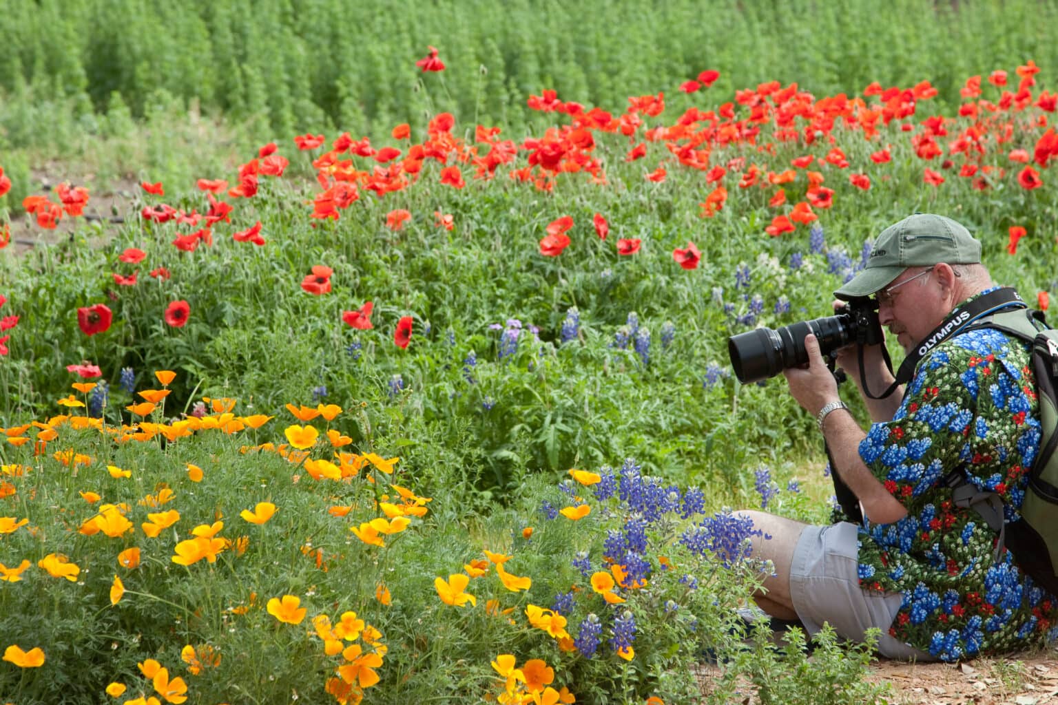 Catch the beautiful blooms at the largest working wildflower farm in ...