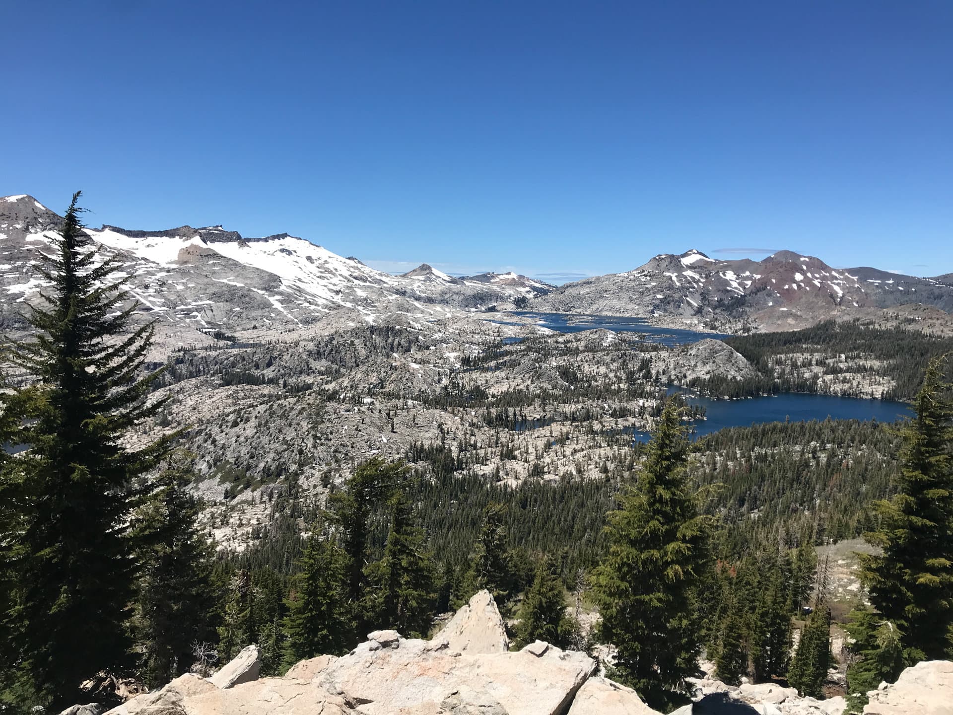 Why you should visit a wildfire burn area on your next Western road ...