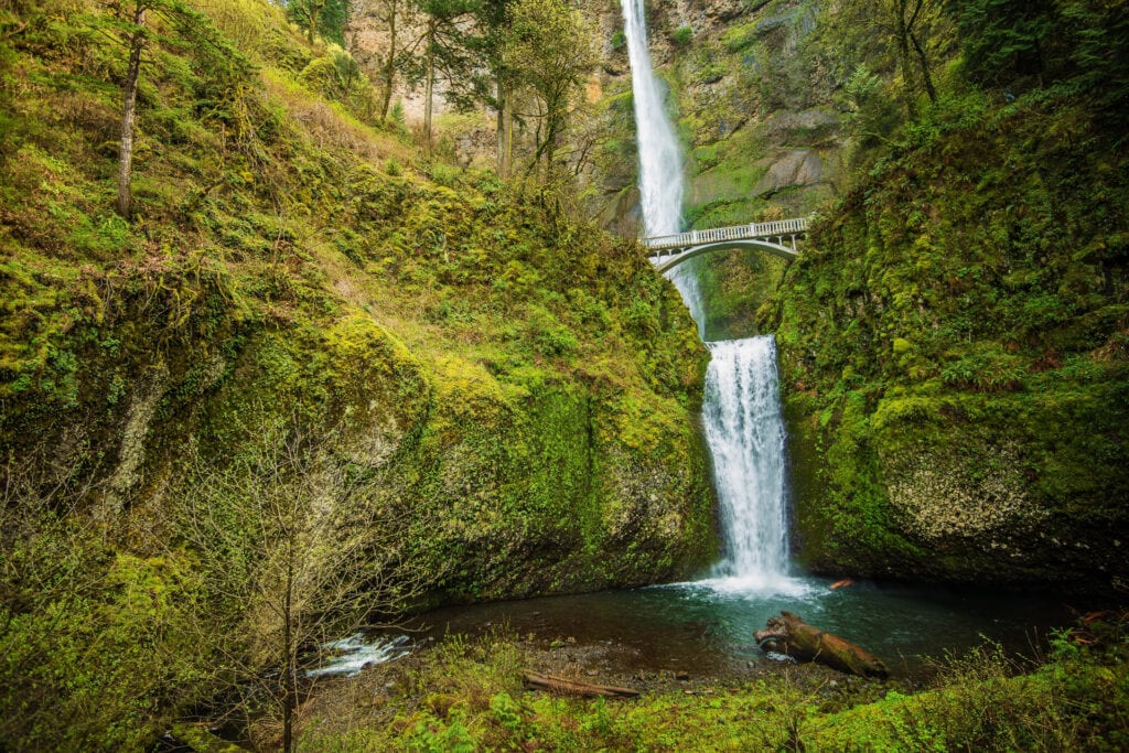 Northwest Oregon Road Trip Itinerary: From Snow to Sea