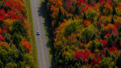 Fall road trip tips - Roadtrippers