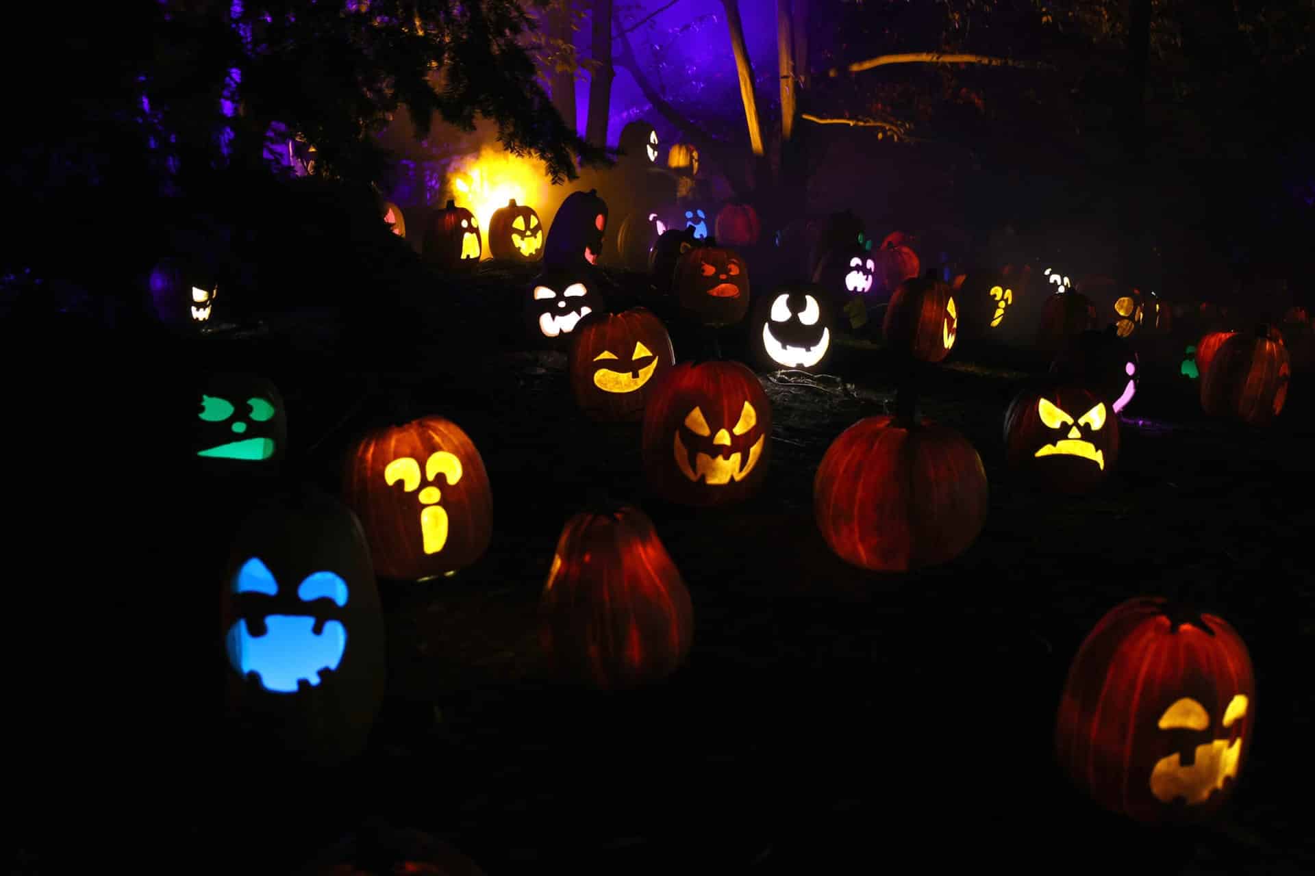 13 activities and events perfect for celebrating fall in the Midwest ...