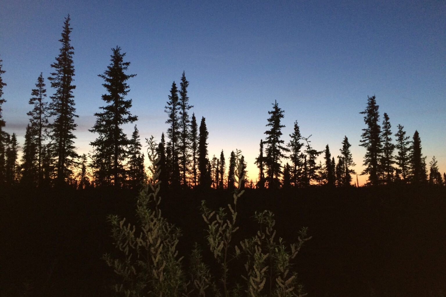Moose, mountains, and midnight sun: An epic Alaska road trip to honor ...