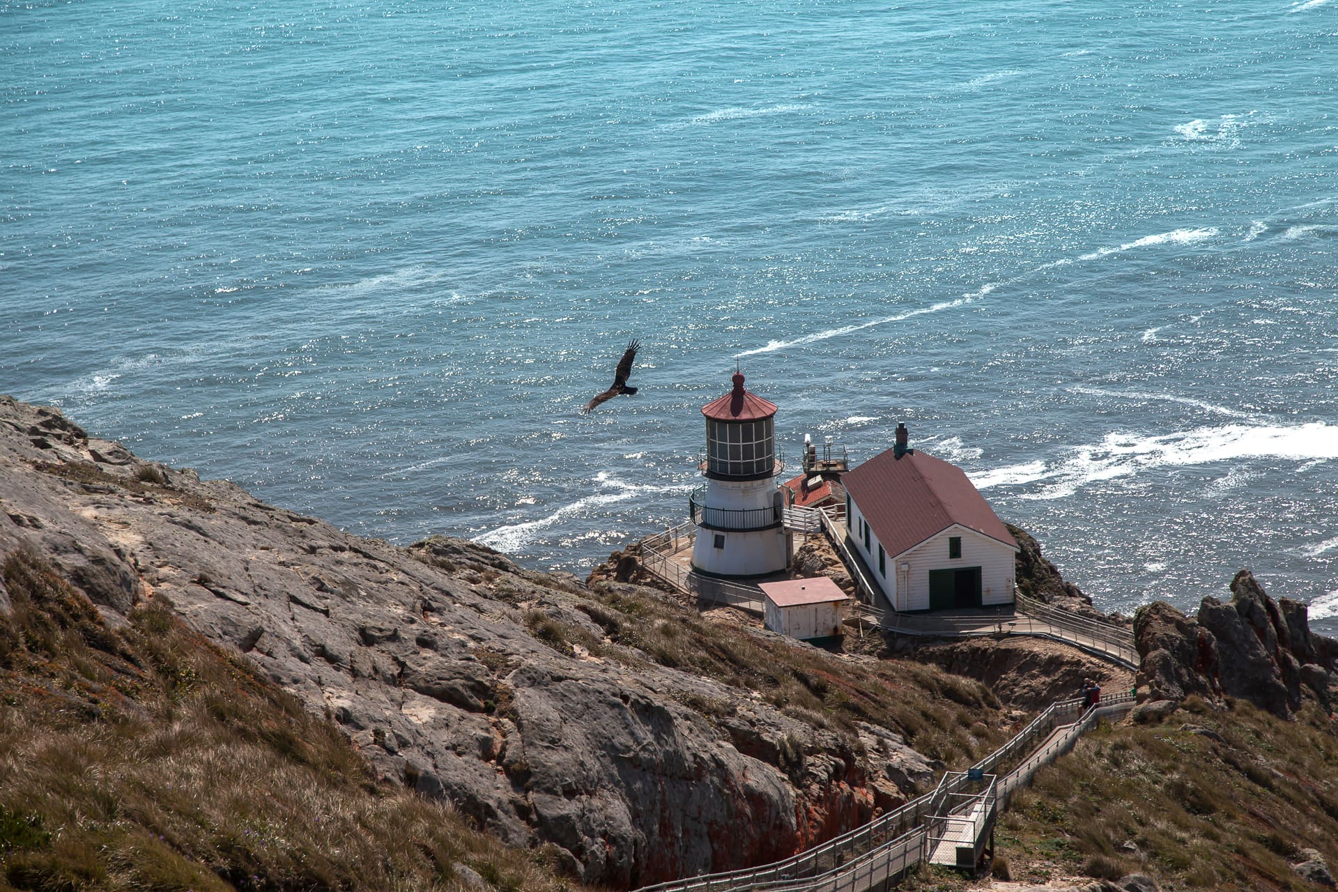 A guide to all 10 national seashores in the U.S. - Roadtrippers