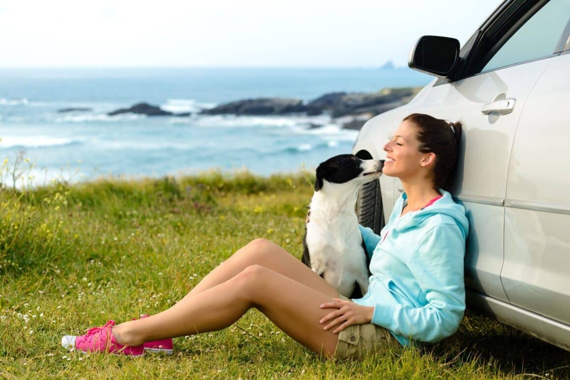 Best Dog-Friendly Road Trip Ideas & Pet Travel Tips